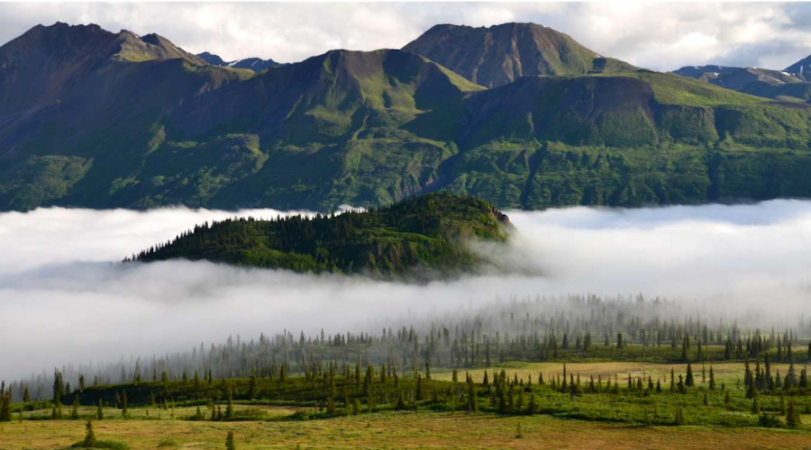 Contango accroît sa présence aurifère en Alaska avec deux achats ...